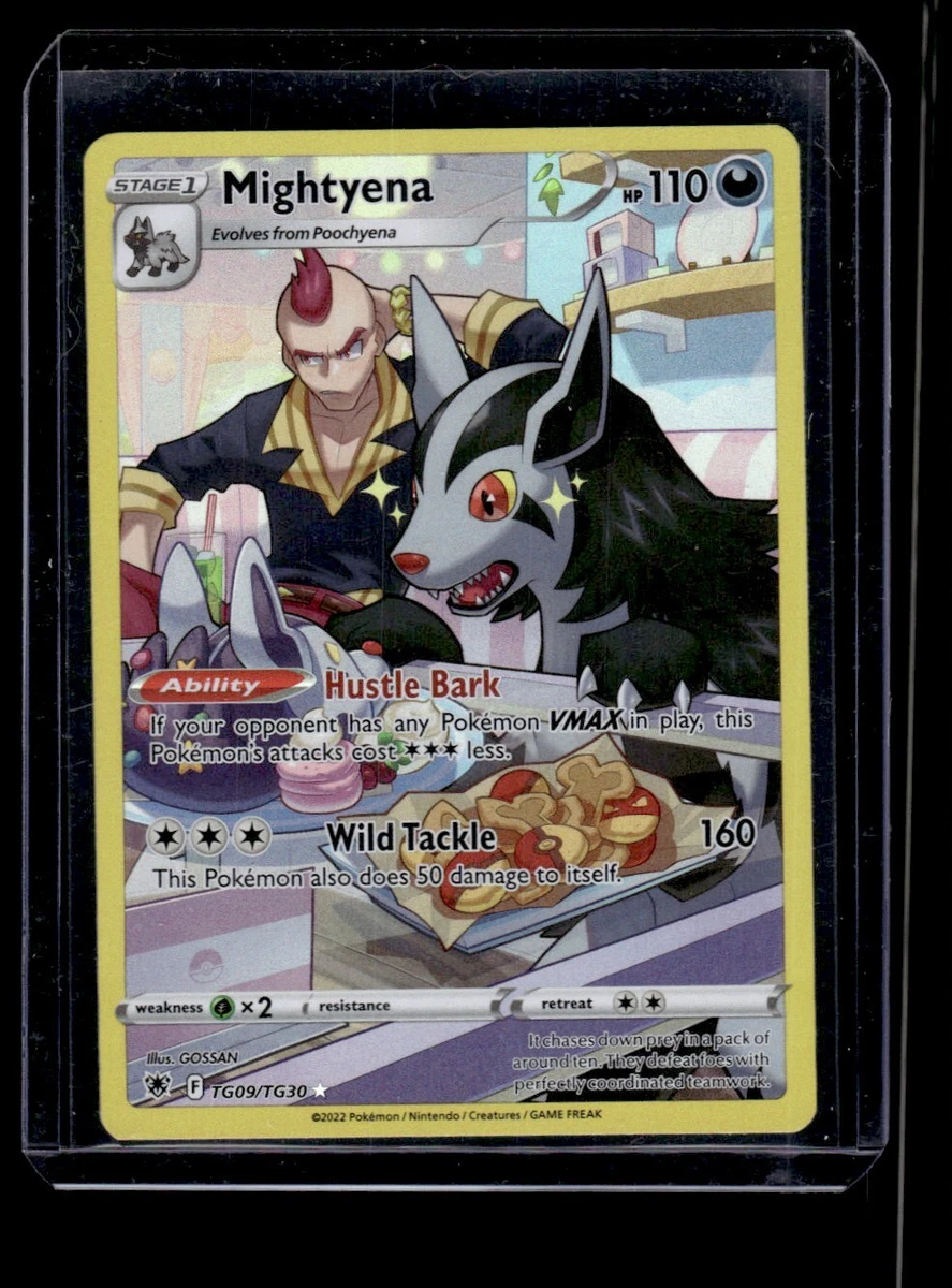 Mightyena Evolution Chart