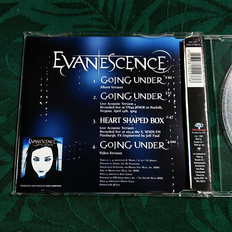 Evanescence Going Under Live Going Under Evanescence Photo (819910)