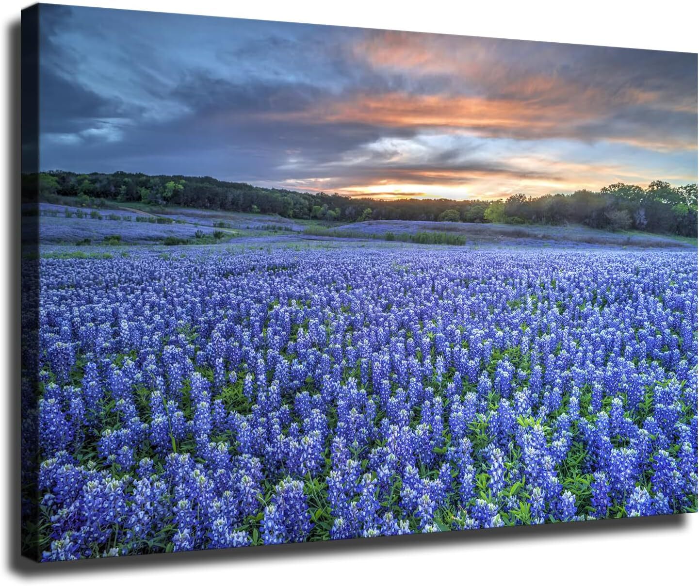 Texas Blue Hat Bonnets Bluebonnet Poster Wall Art Canvas Painting ...