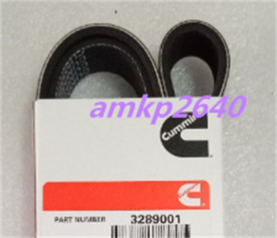 1PC New 3289001 for Cummins Ribbed V-Belt #am | eBay