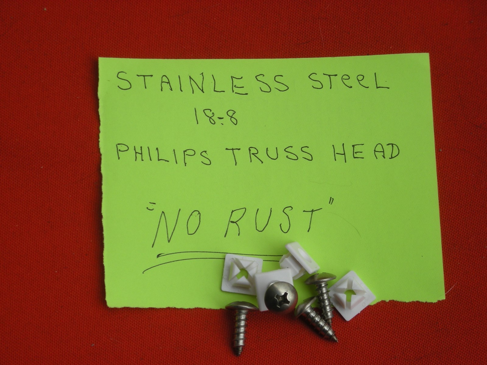License Plate Nylon Inserts with 18-8 STAINLESS SCREWS no rust QTY OF 4 ...