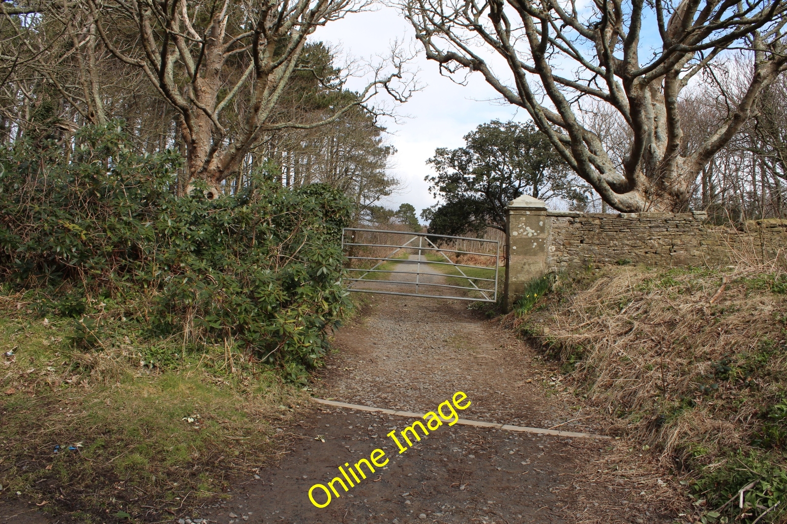 Photo 6x4 Ayrshire Coastal Path Maidens/NS2107 Entering Culzean Country ...