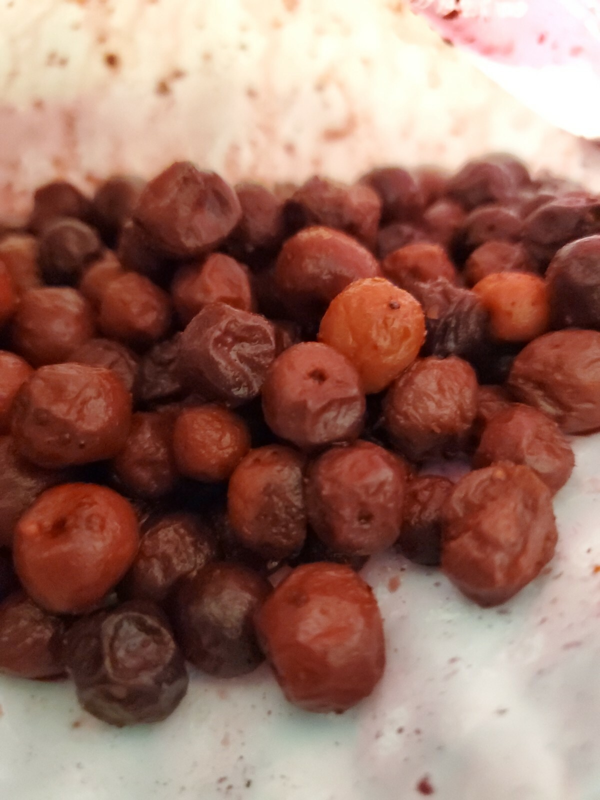 FALSA Fertile Fruits seeds as Known Pakistani Berry 40 seeds in pack | eBay