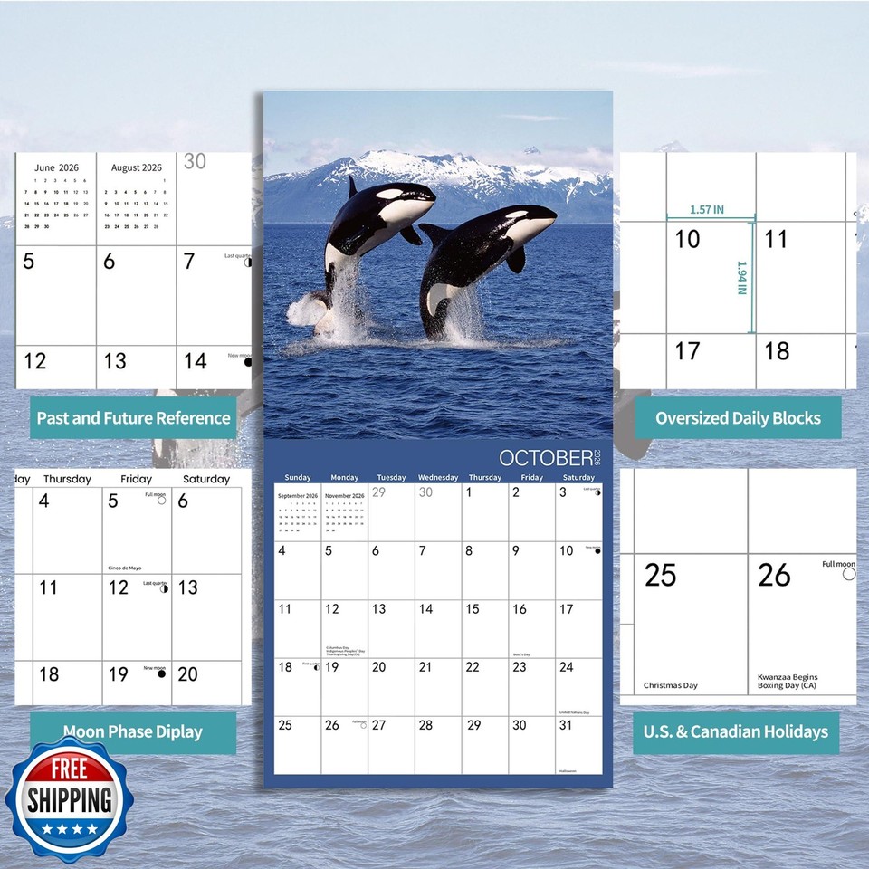 2026 Wall Calendar,Whale Calendar 2026 Monthly Wall Calendar, 12" x 24 ...