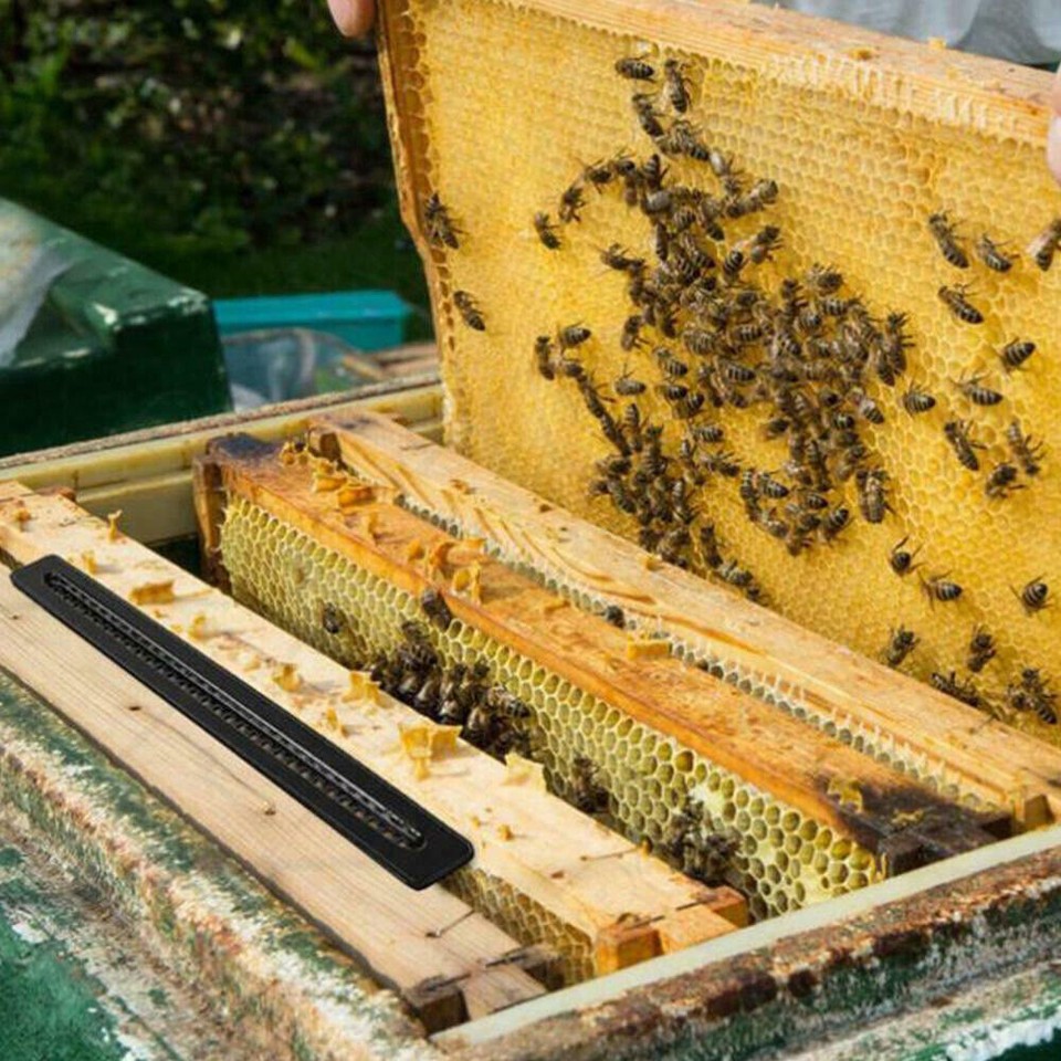 20/40/60×Black BeeHive Beetle Trap Small Bee Hive Beetle Blaster ...