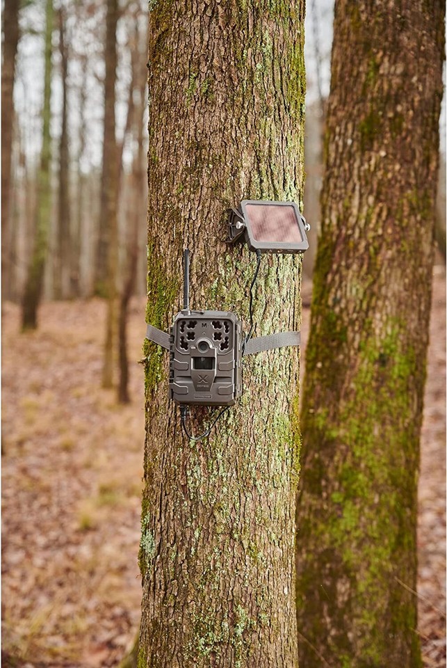 Moultrie 12V Scouting Trail Camera Solar Power Panel w Lithium Battery ...