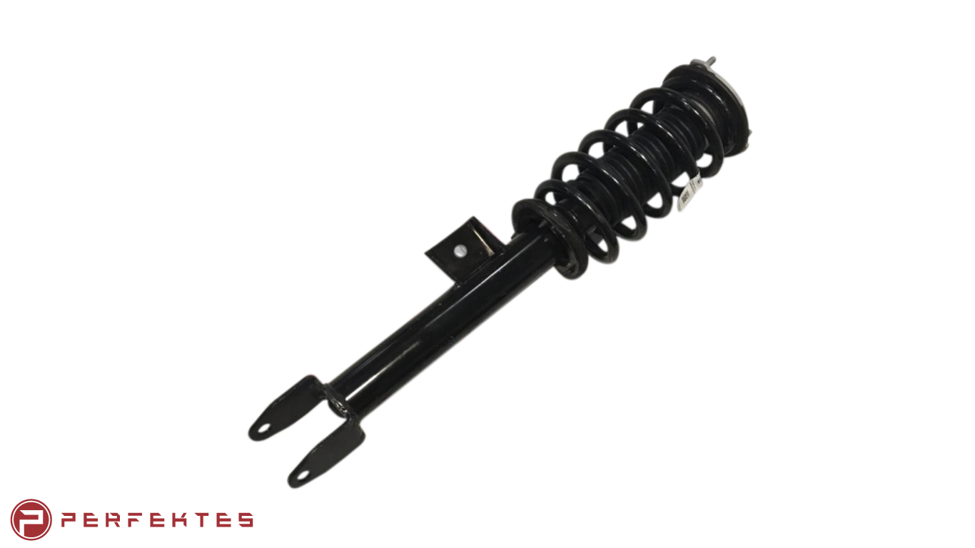 Tesla Model 3 FRONT Right PASSENGER SHOCK ABSORBER 2017-2021 1044369-01 ...