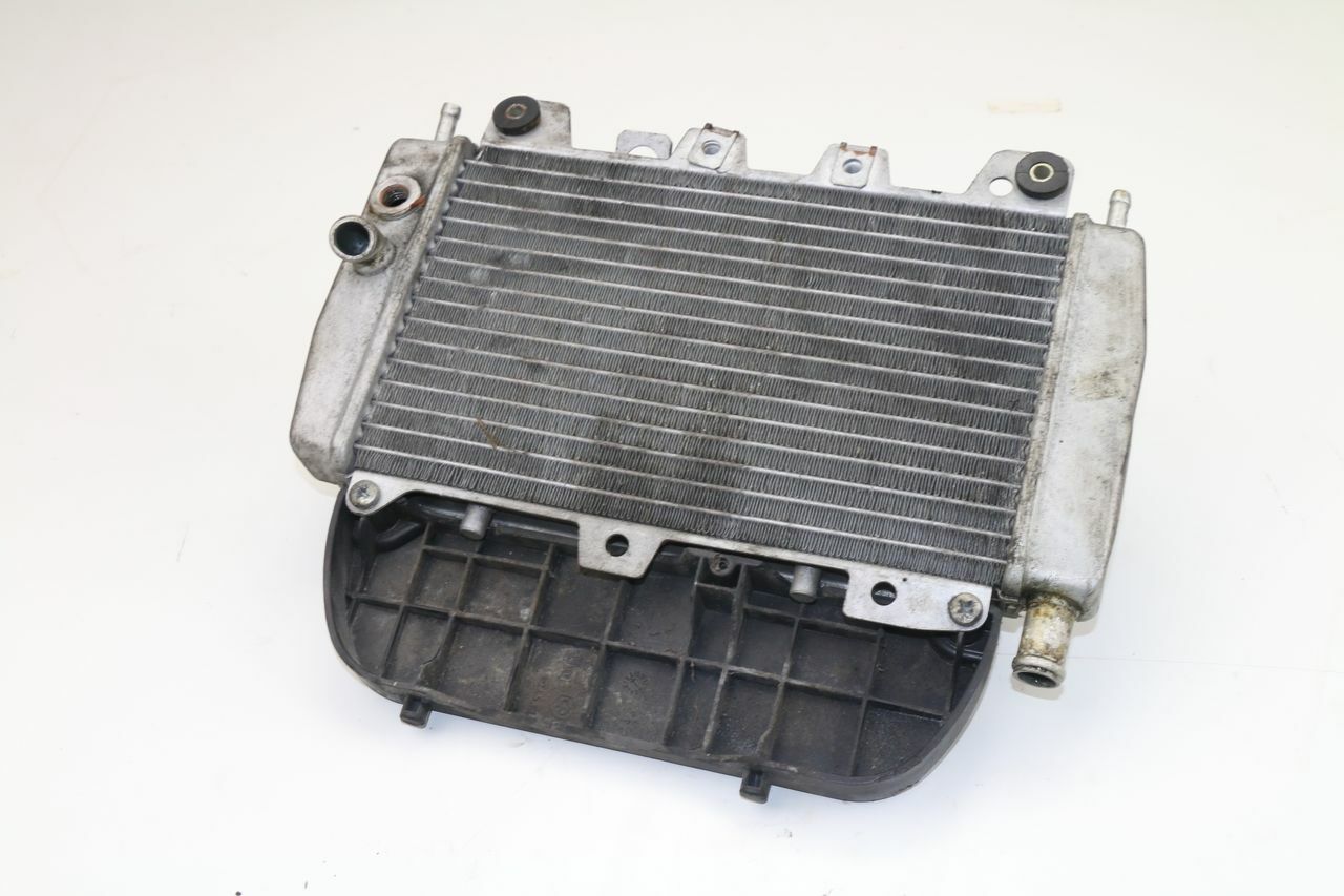 COOLANT RADIATOR - PIAGGIO X9 EVOLUTION 125 ( 2003 - 2007) | eBay