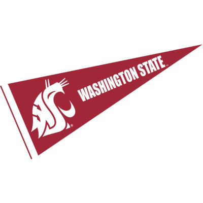 Washington State WSU 12 in X 30 in Crimson Pennant | eBay