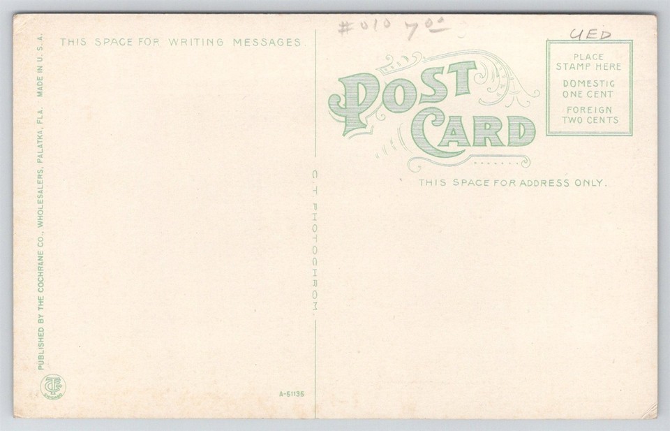 Chaudoin Hall Girls Dorm JB Stetson University De Land FL C1910s ...