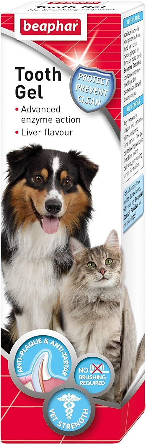 Beaphar Tooth Gel, Toothbrush and Toothpaste Kit for Dogs And Cats ...