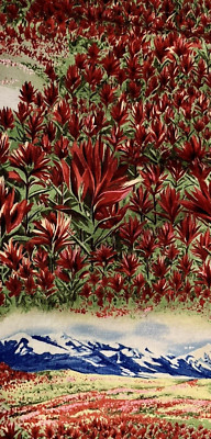 The State Flowers INDIAN PAINTBRUSH #613 by Susan Ellis 4 Northcott ...