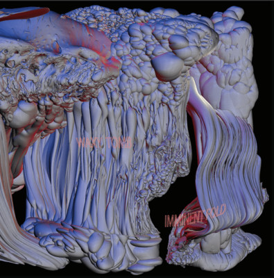 Waxy Tomb 'Imminent Fold' LP & art booklet NEW Metalux Inflatable Boy ...
