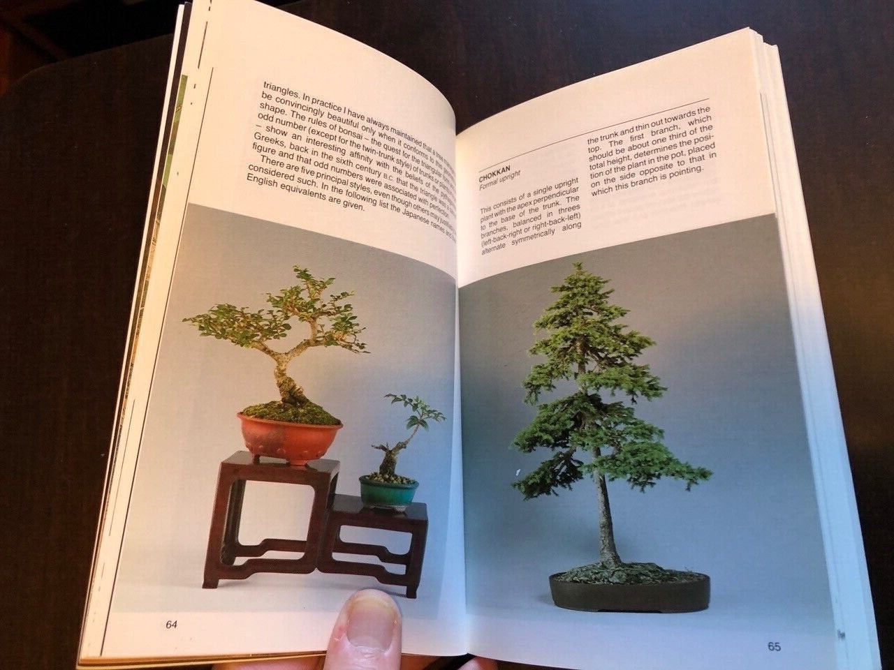 Simon and Schuster's Guide to Bonsai by Gianfranco Giorgi and Simon and ...