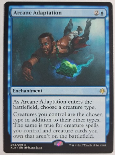 Arcane Adaptation x1 Ixalan Magic the Gathering MTG LP/NM | eBay