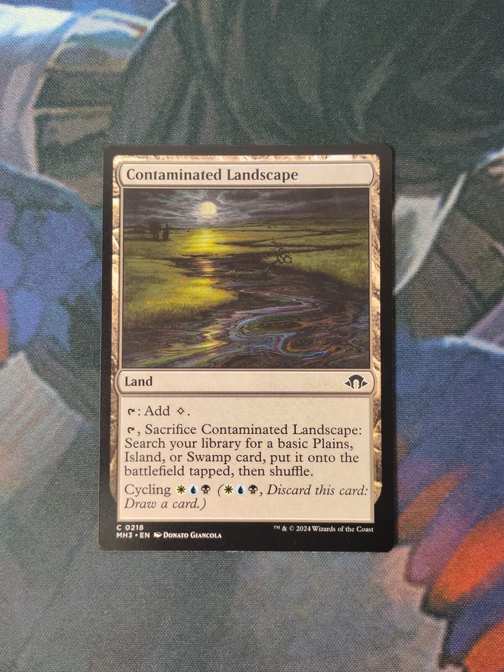 Landscape Fetch Land COMPLETE Set of 10 | 7% Off 2+ | MH3 | NM | MTG | eBay