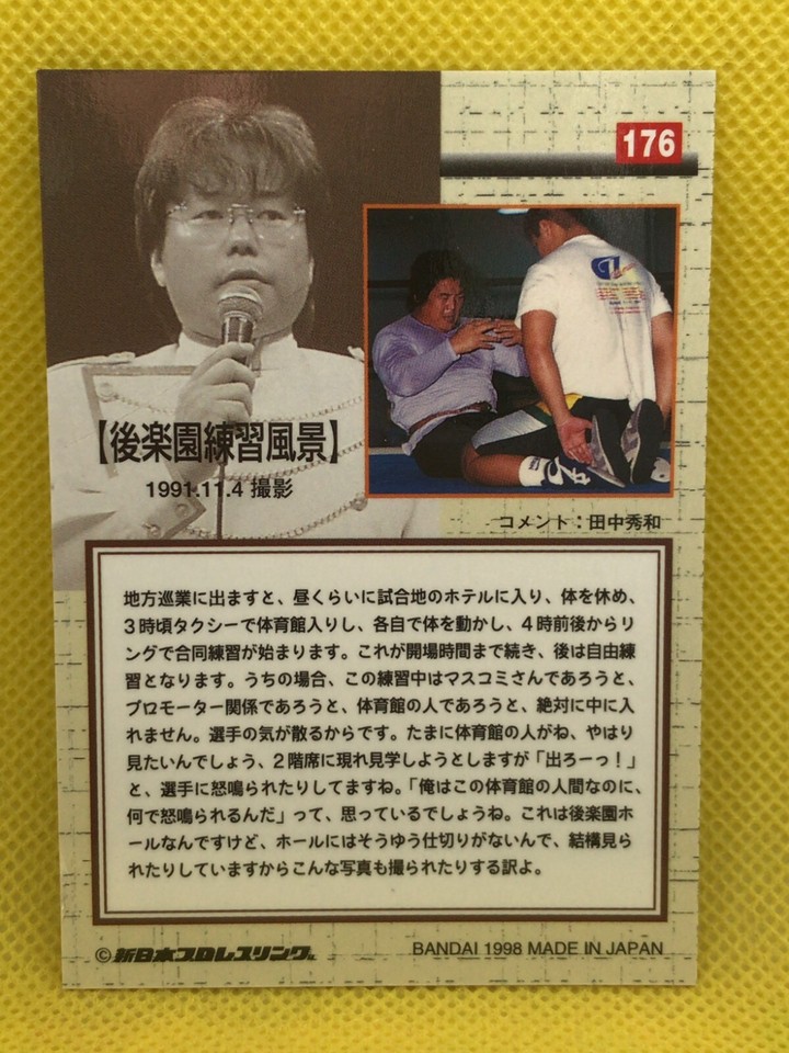 TATSUMI FUJINAMI NEW JAPAN Pro-Wrestling Training Dojo Scene BANDAI ...