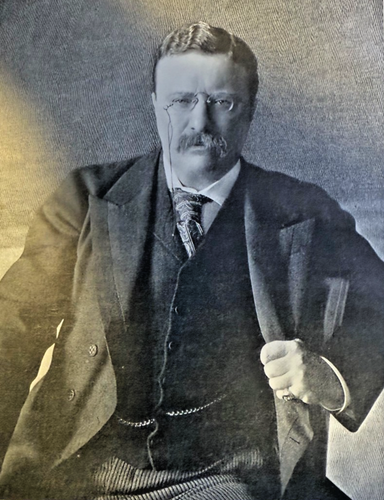 1904 Theodore Roosevelt As A Presidential Candidate illustrated | eBay
