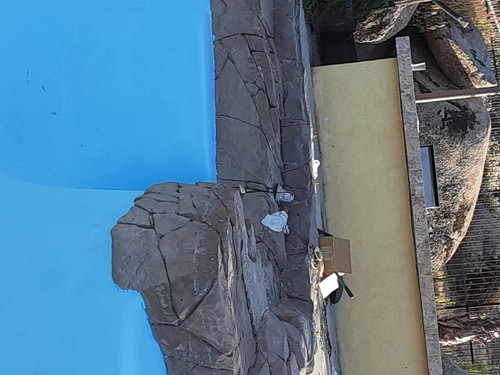 AdCoat 76001 Swimming Pool Paint - White for sale online | eBay