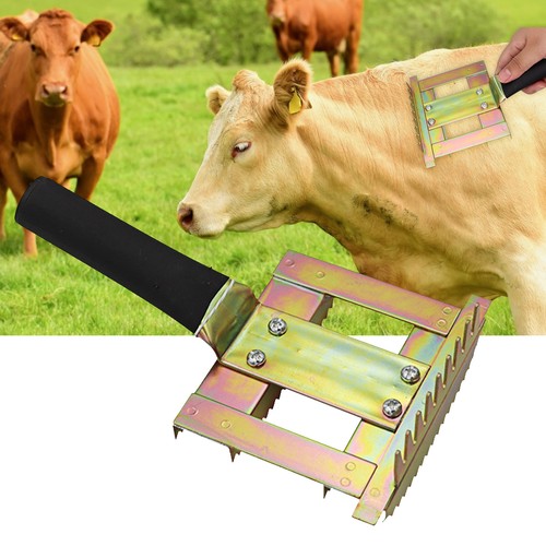 Grooming Brush Burr-free Rust Resistant Grooming Tool Shedding Comb ...
