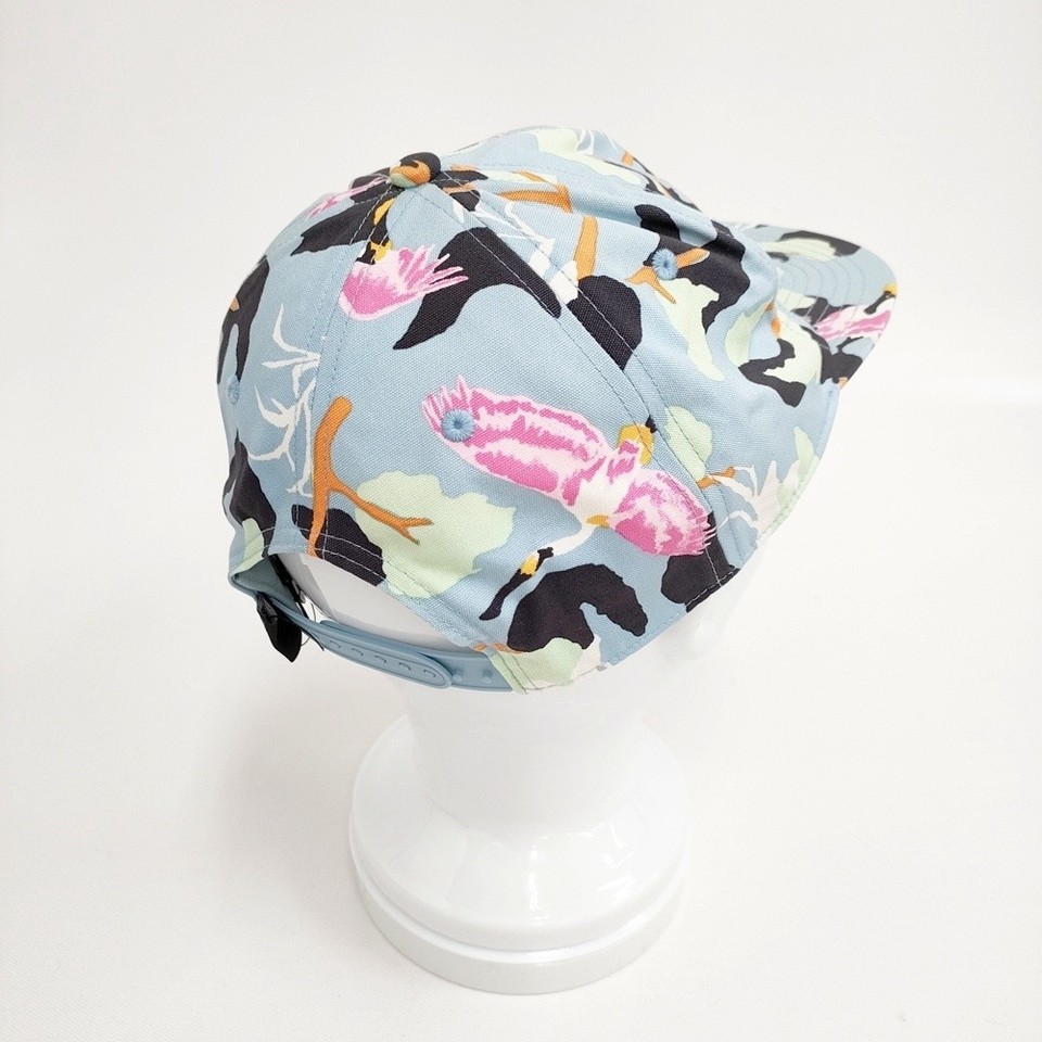 patagonia Fan Fairer Cap netplus LIVE SIMPLY cap light blue 5-0913G ...