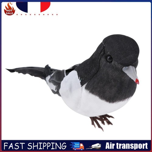 DIY Props Magpie with Claw Fluffy Craft Birds 16cm/6.3inch Black White ...