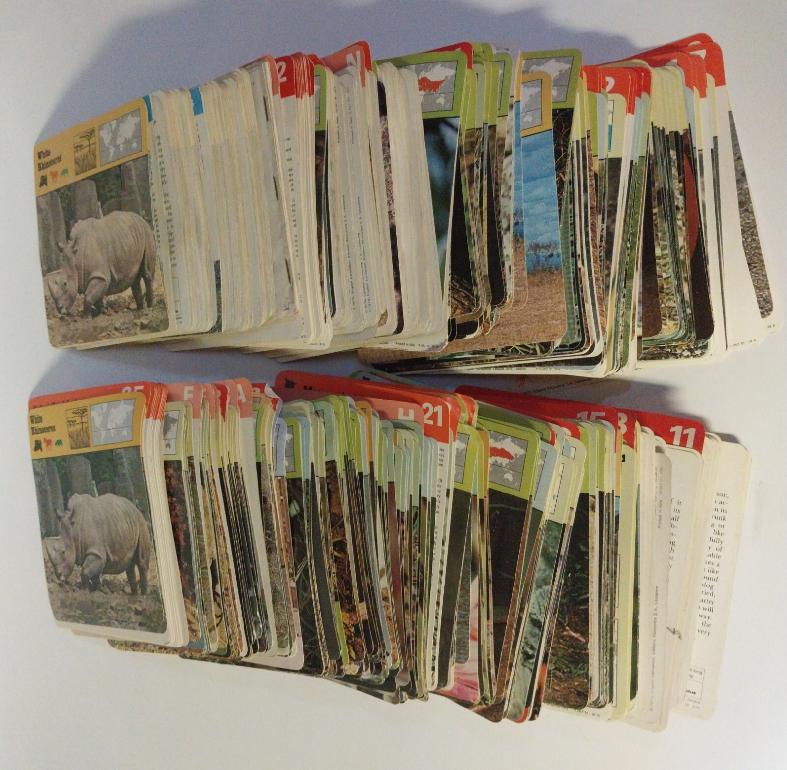 400+ Safari Cards W/ Audio Player Knowledge Rencontre Animals Fish ...