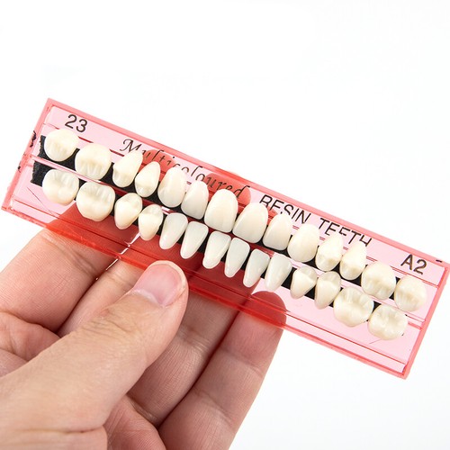 28Pcs Resin Teeth Model Durable Dentures Universal False 'Teeth Dental ...