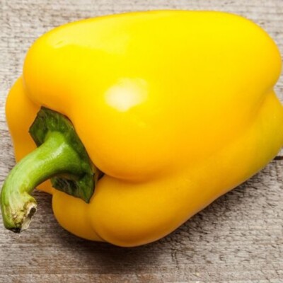 Pepper Bright Yellow Bell Capsicum Annuum Square Shape Sunbright Golden ...