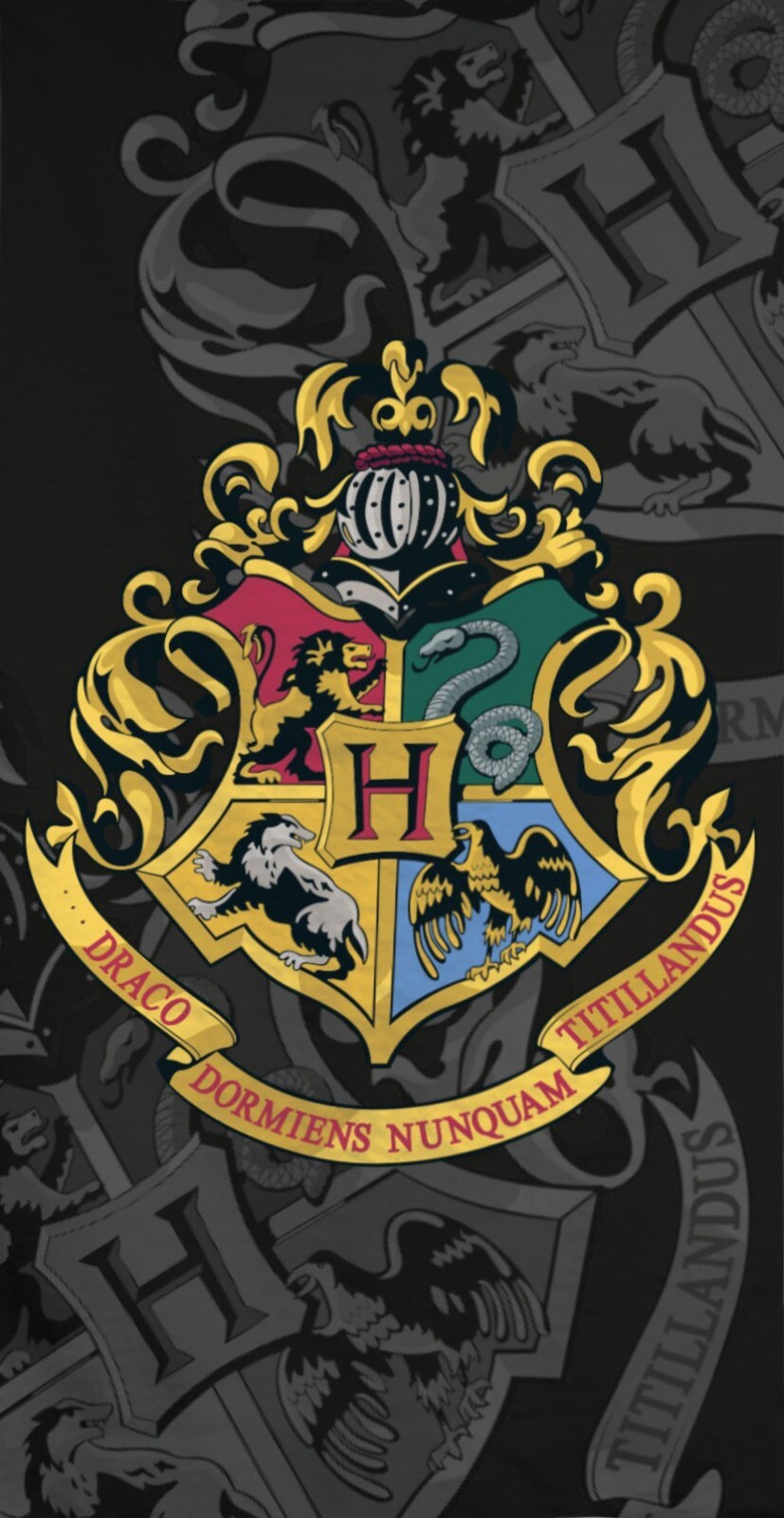 Harry Potter Bath Beach Towel 140 x 70 cm 100% COTTON - Hogwarts Hedwig ...