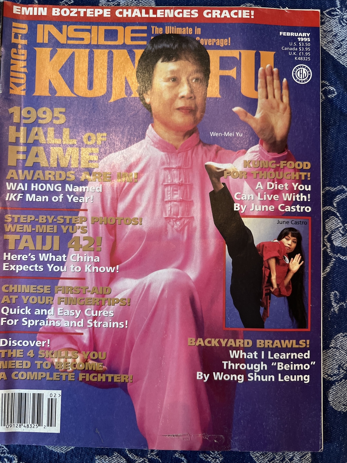 February 95 INSIDE KUNG FU JUNE CASTRO WAI HONG WEN-MEI YU KARATE ...