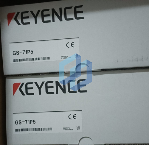 Keyence GS-71P5 Security Door Lock Switch Brand New | eBay