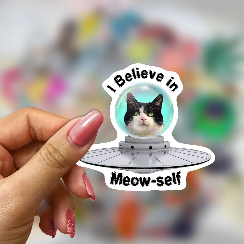 Alien Cat I Believe In Meow Self Meme Cat Love Sience Stickers | eBay