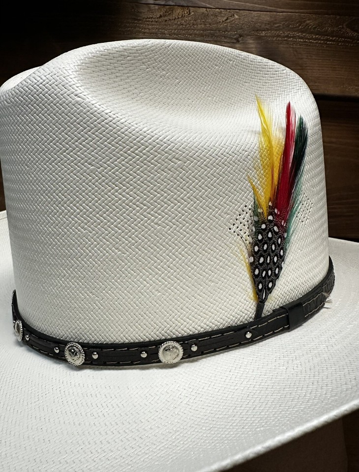 STETSON & RESISTOL ORIGINAL CLASSIC COLORED COWBOY HAT FEATHER | eBay