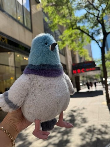 Strutton Pigeon - NYC Exclusive Jellycat - brand new with tags! | eBay