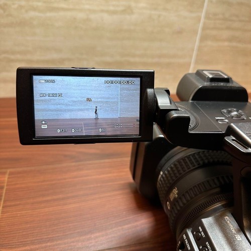 SONY HXR-NX100 Professional Video Camera 2671 From Japan | eBay
