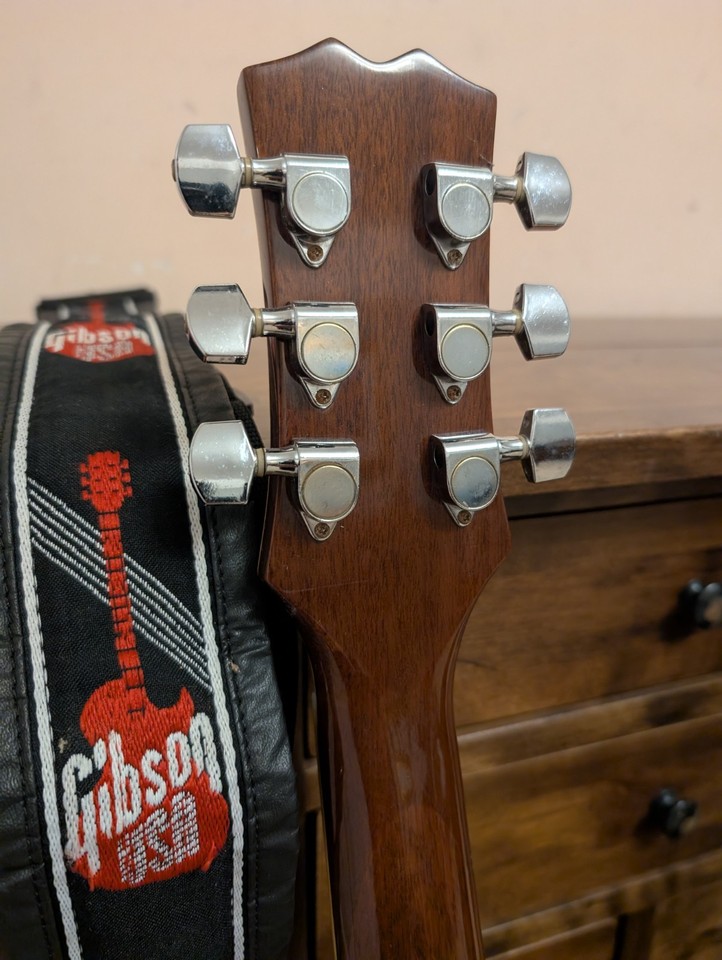 Vintage Encore/Samick SARC-902 semi-hollowbody electric guitar and hard ...