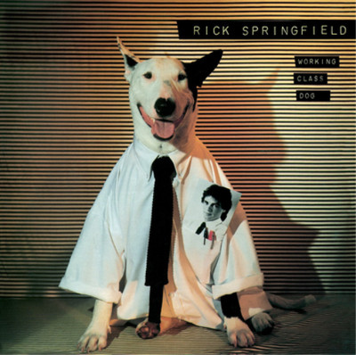 Rick Springfield Working Class Dog (CD) (US IMPORT) 5055300381729 ...