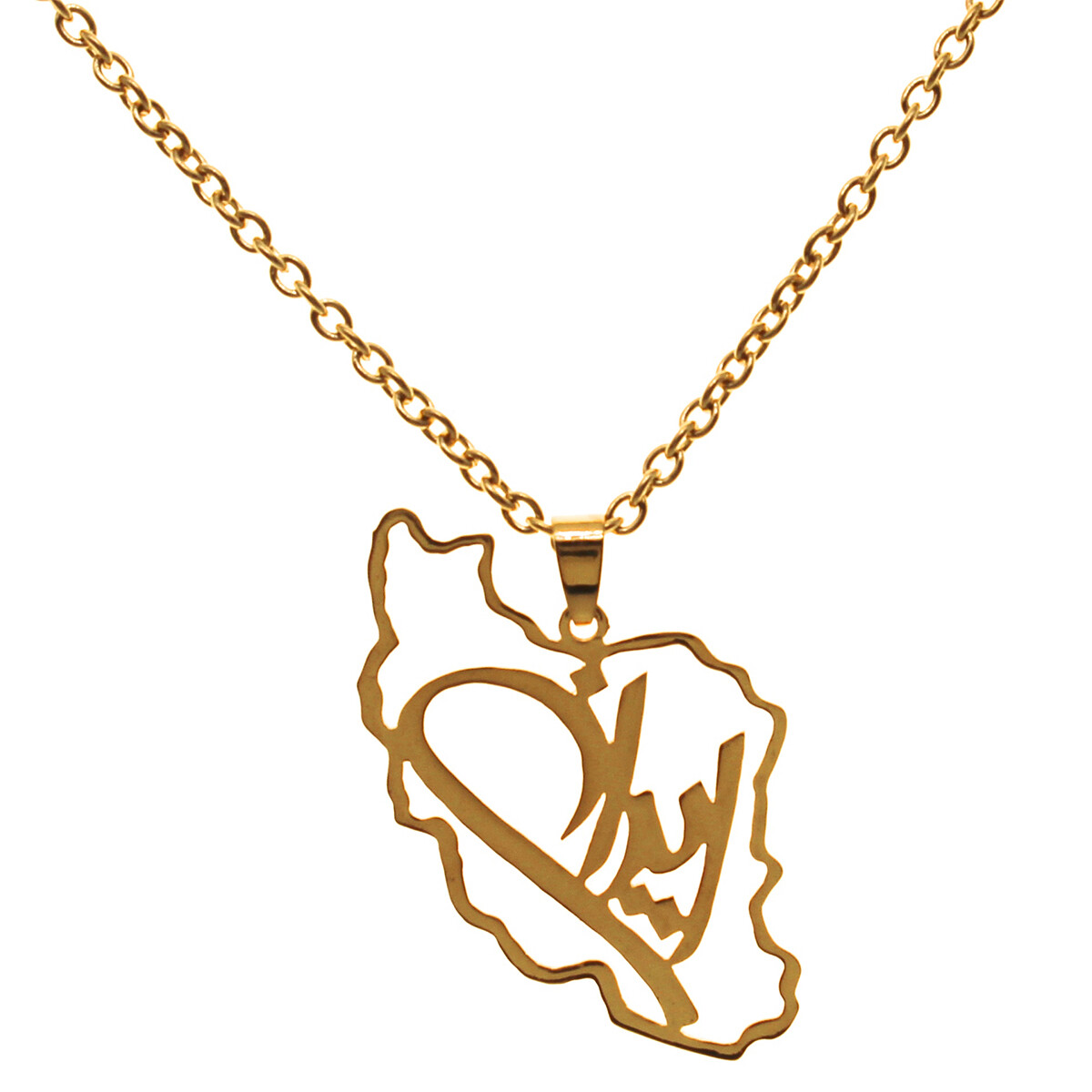 Iranian Persian Iran Flag Map Necklace Chain Iranian Persian Gift ...