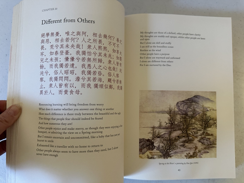 Tao Te Ching Illustrated Goodness Power Lao Tzu 2023 Amber double pages ...