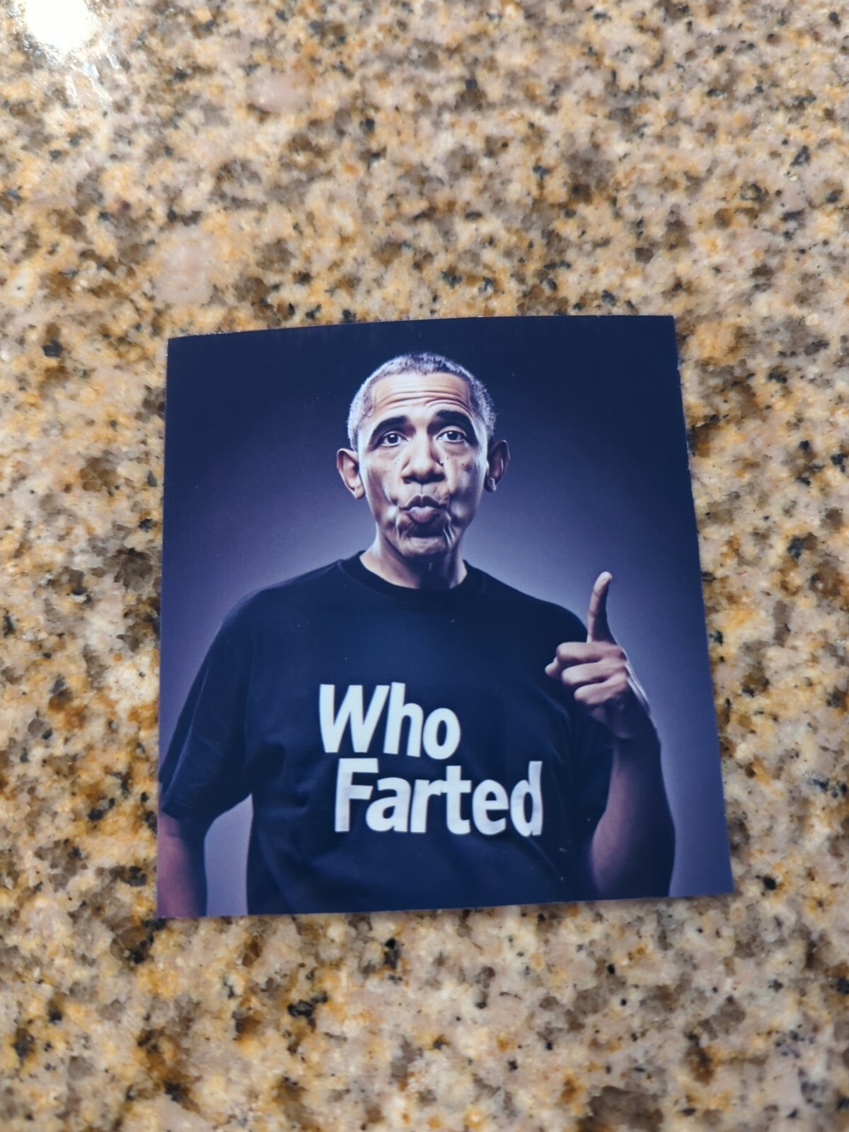 Hilarious Who Farted voter sticker - OBama T-Shirt Vinyl Decal | eBay