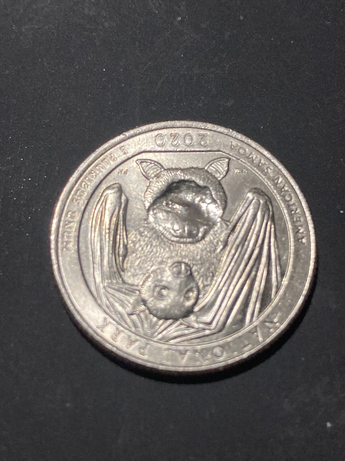 2020 P American Samoa Washington Quarter -Blind Bat Error - Rare ...