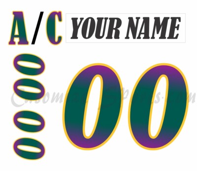 Roanoke Express Customized Number Kit For 1998-2002 White Uniform | eBay