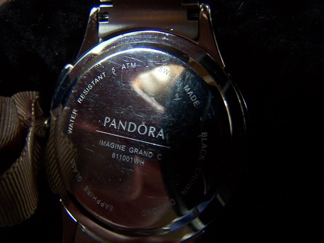 PANDORA Watch Imagine Grand C Stainless Steel - 811001WH for sale ...