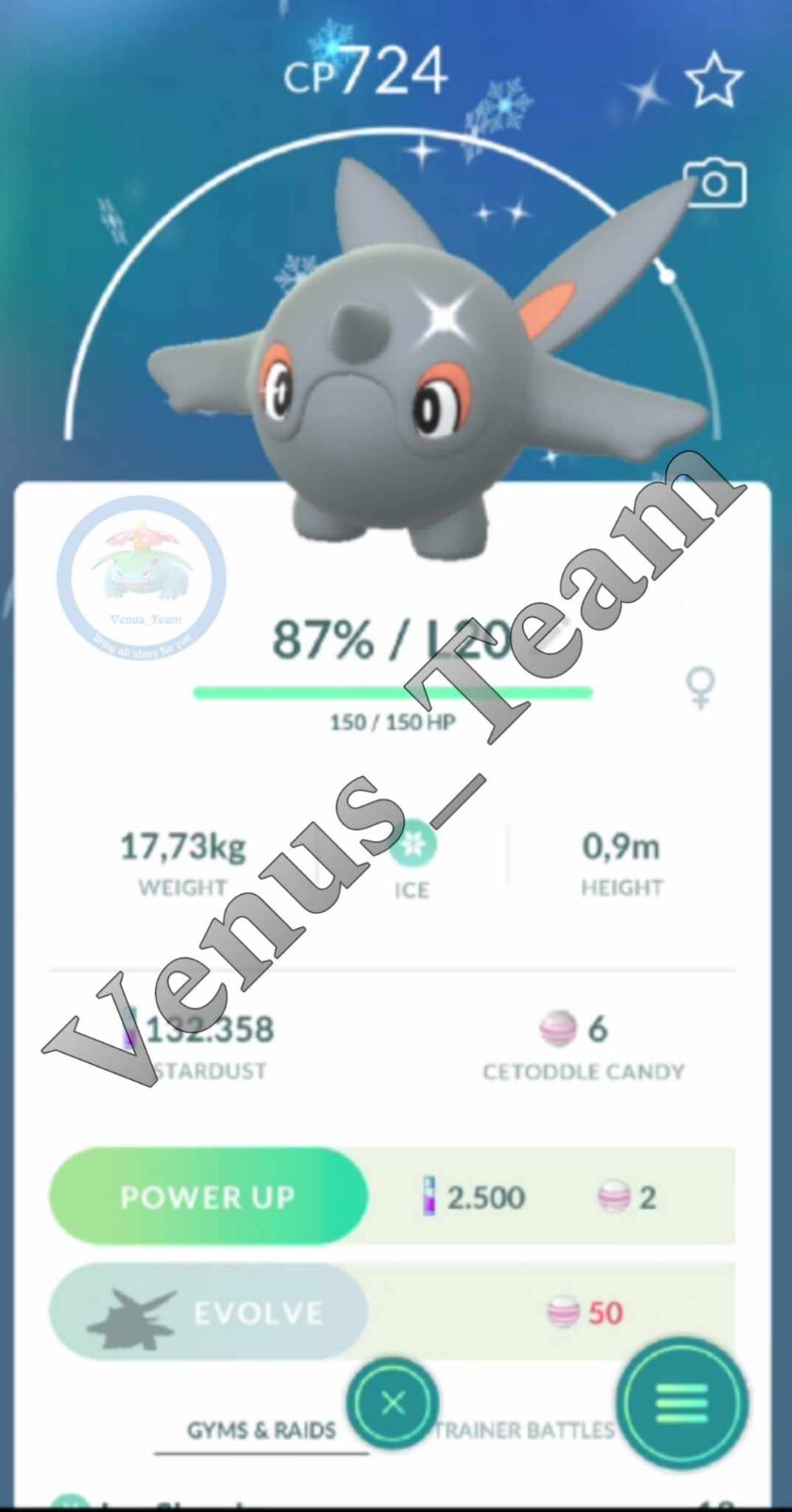 Pokémon Go Shiny Cetoddle P T C 80k Dust | eBay