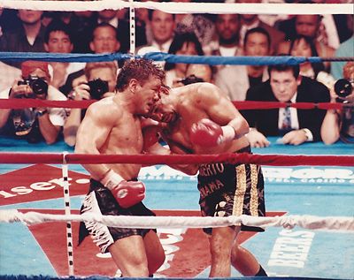 VINNY PAZIENZA vs ROBERTO DURAN 8X10 PHOTO BOXING PICTURE IN CLOSE | eBay