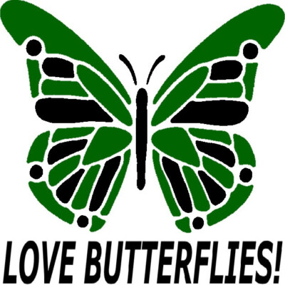 30 Custom Classic Green Butterfly Personalized Address Labels | eBay