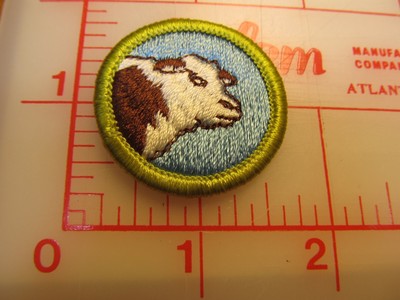 ANIMAL SCIENCE merit badge plastic backed patch (oP) | eBay