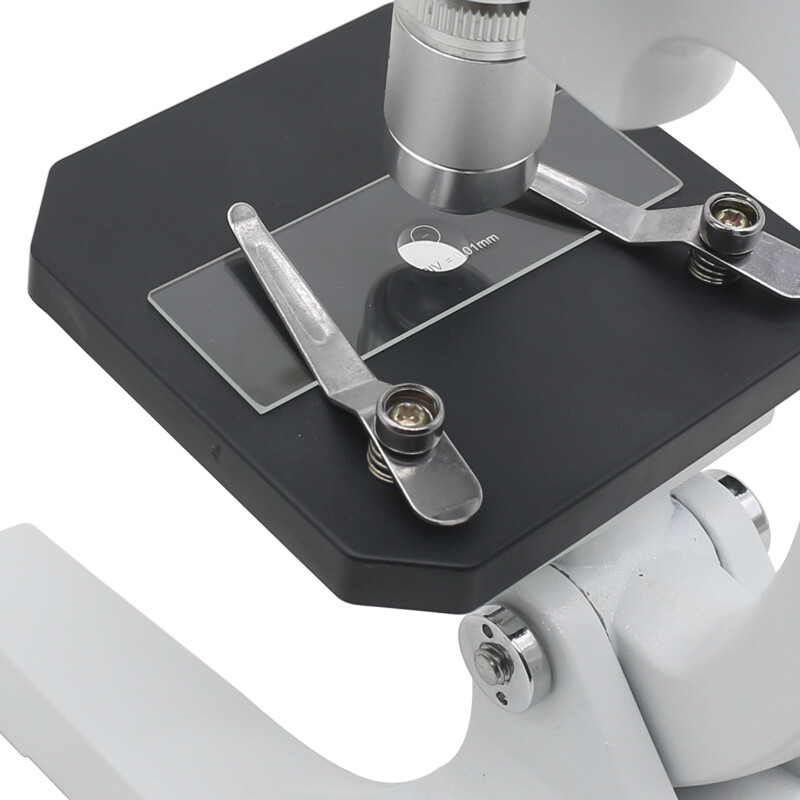 DIV 0.01 mm Microscope Stage Micrometer Glass slide Measuring ...