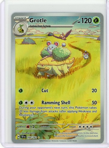 Pokemon TCG Grotle 164/162 2024 Temporal Forces Illustration Rare Card ...